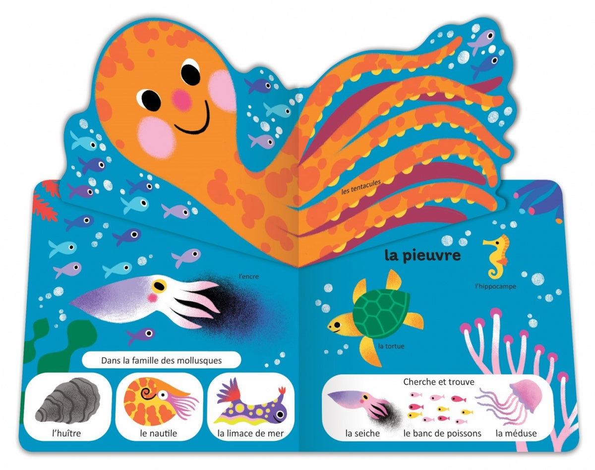 Pop.pop.pop - Mon imagier pop-up des animaux de la mer - Dès 1 an – La ...